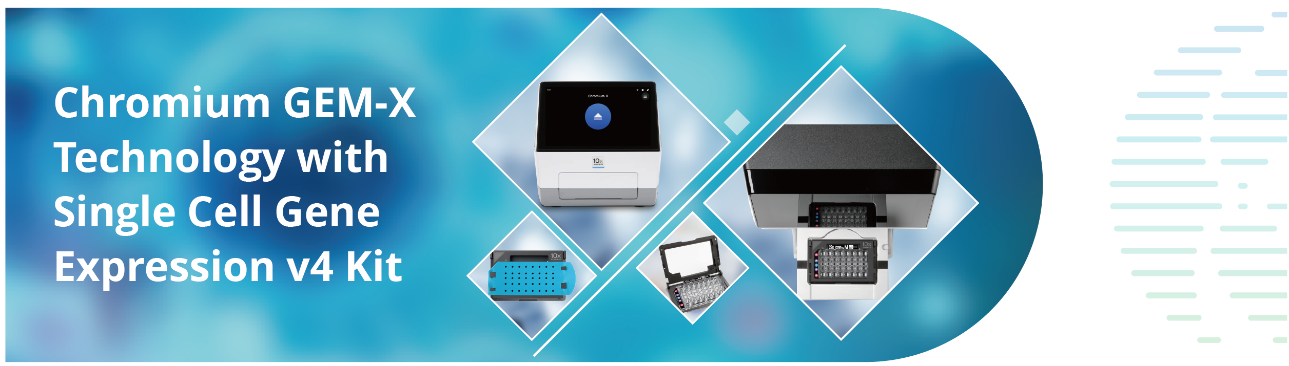 Novogene’s New Era of scRNA-Seq Resolution at Scale - GEM-X technology with gene expression v4 kit